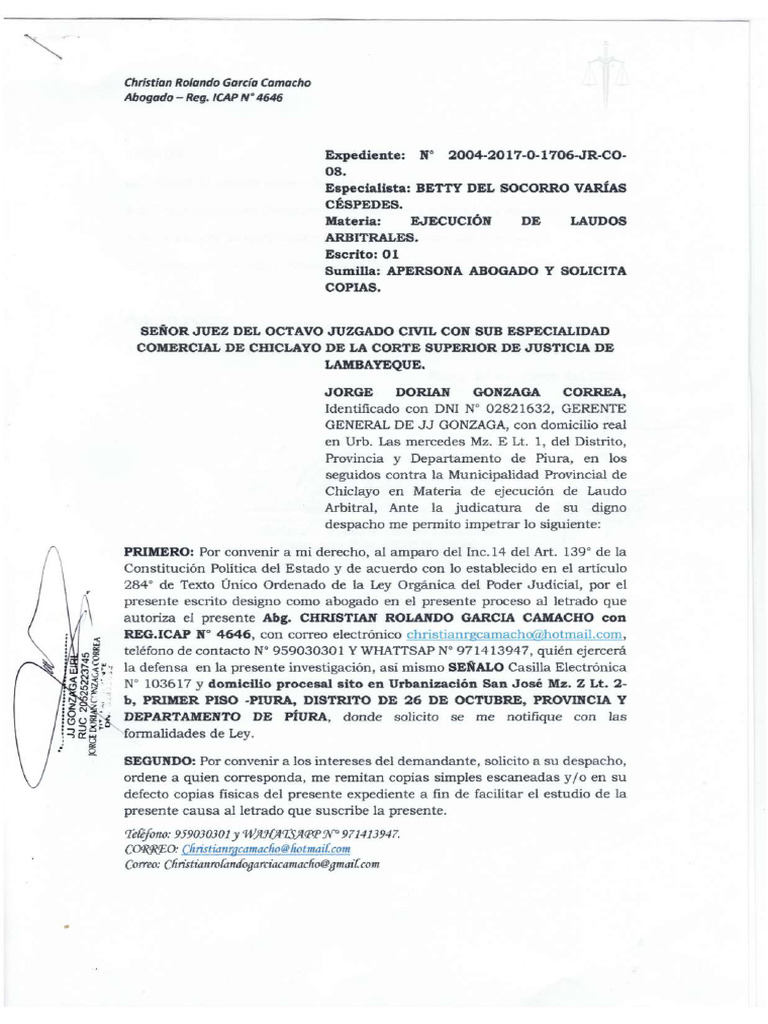 Apersn. Ejec. Laudo Gonzaga | PDF