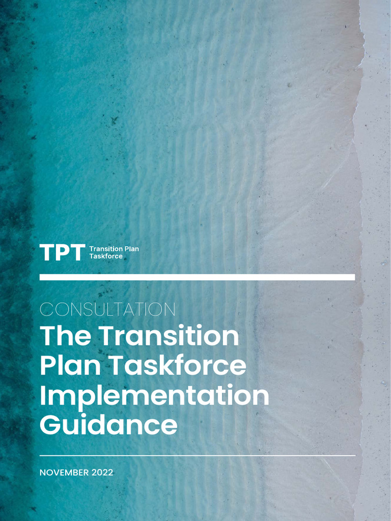 TPT Transition Plan Implementation Guide | PDF | Climate Change ...