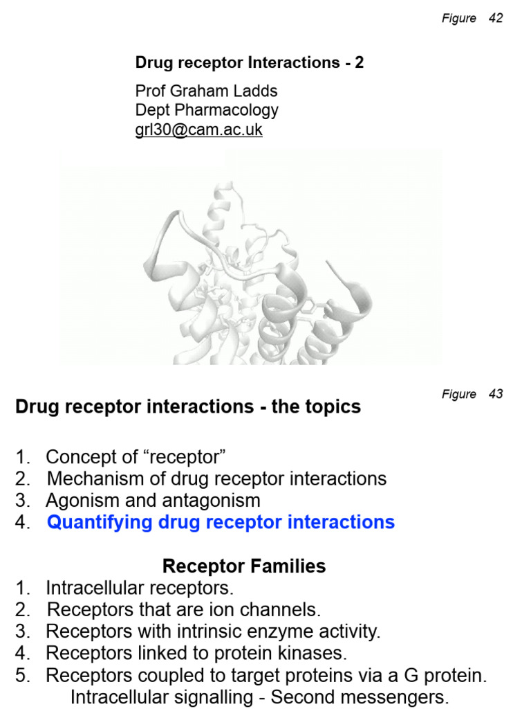 Drug Receptor Interaction Mechanisms | PDF