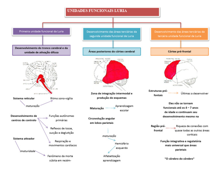 Mapa Das Unidades Funcionais de Luria | PDF