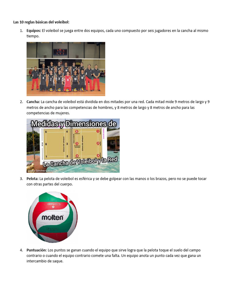 Las 10 Reglas Básicas Del Voleibol | Descargar gratis PDF | Vóleibol ...