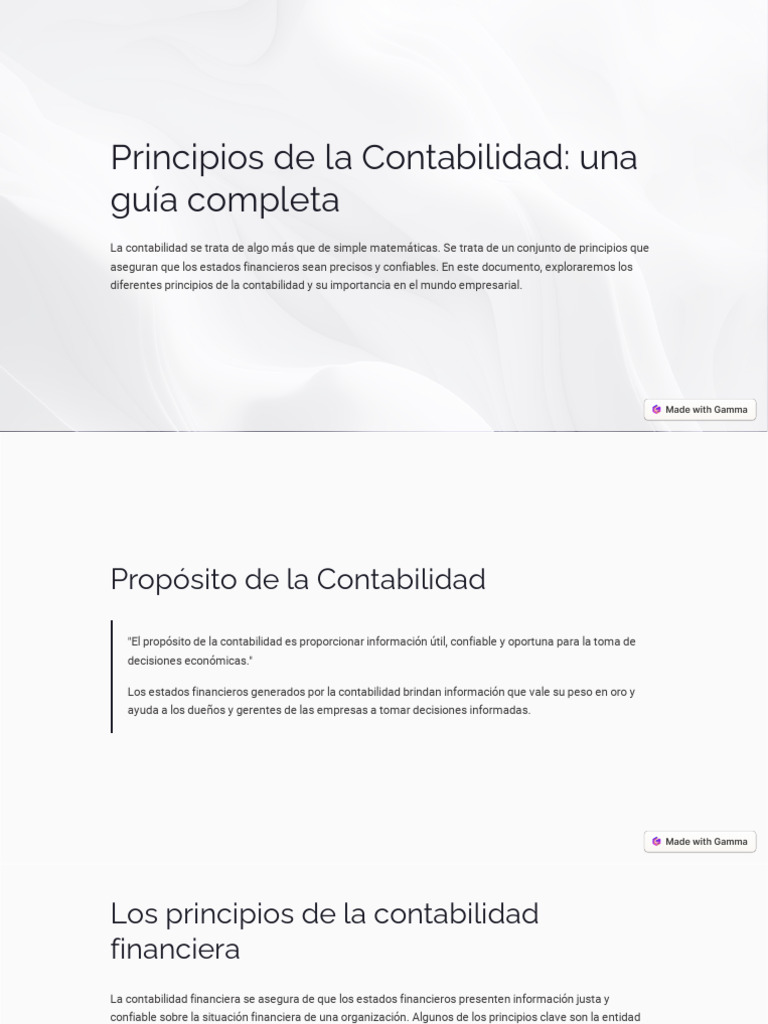 Principios de La Contabilidad Una Guia Completa | PDF
