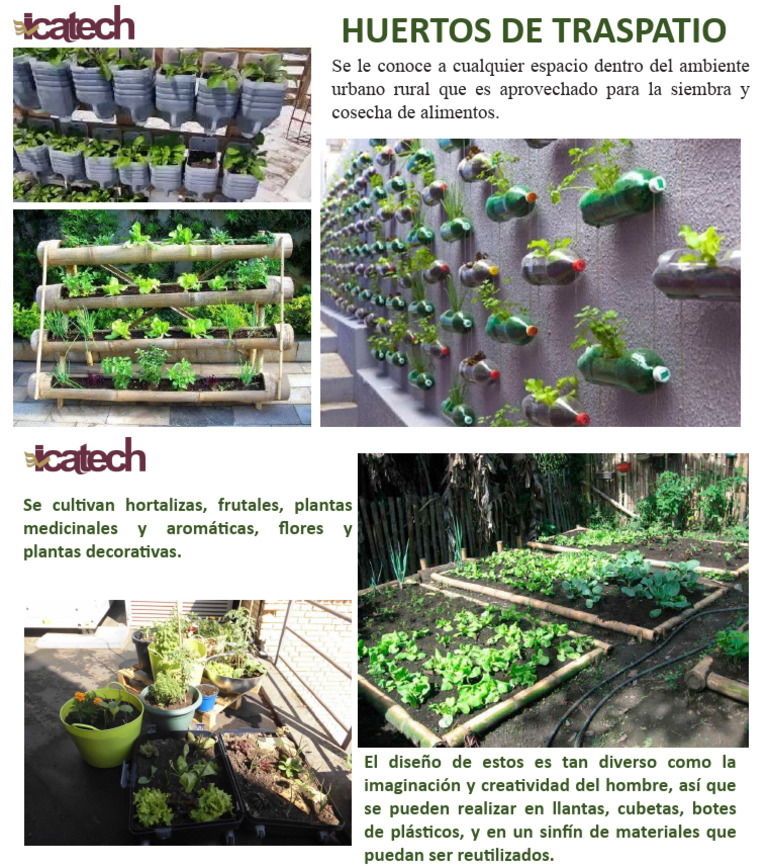 Huertos de Traspatio | PDF