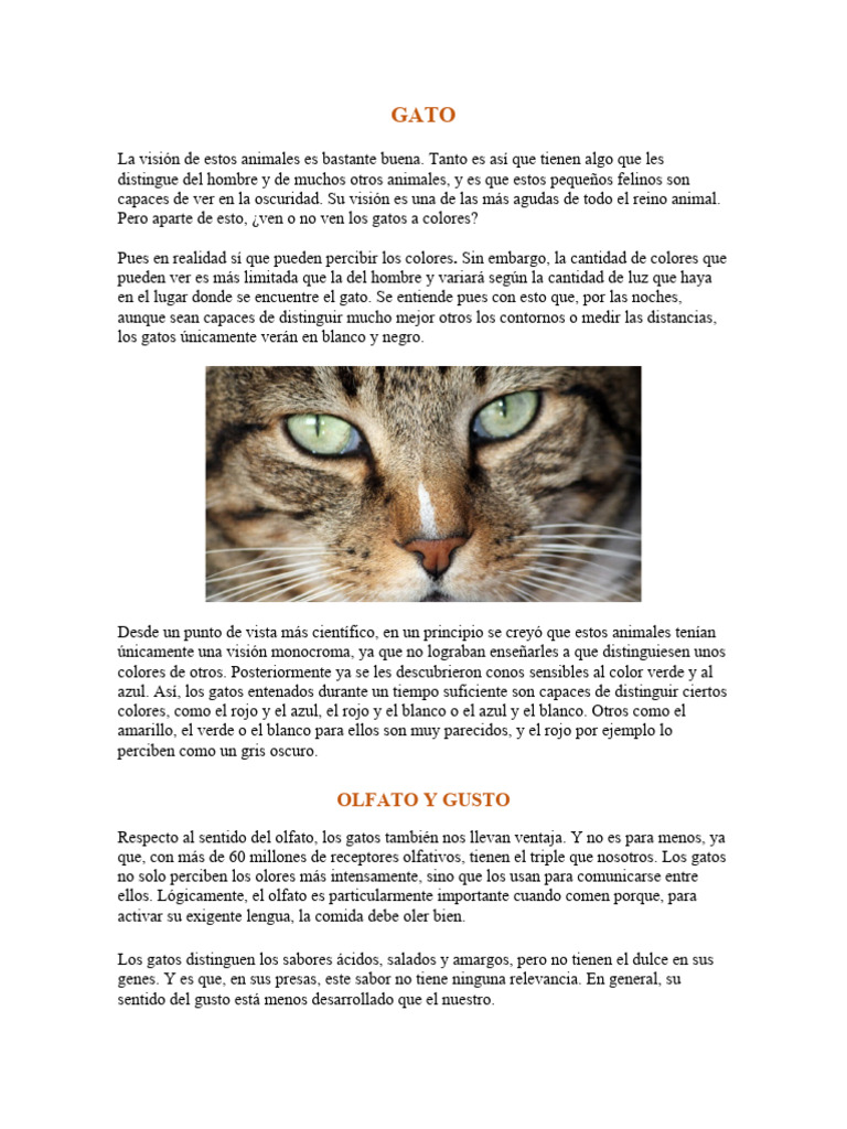 Sentidos de Los Animales Domesticos | PDF | Color | Gusto