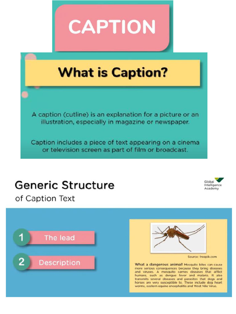 Materi Caption | PDF