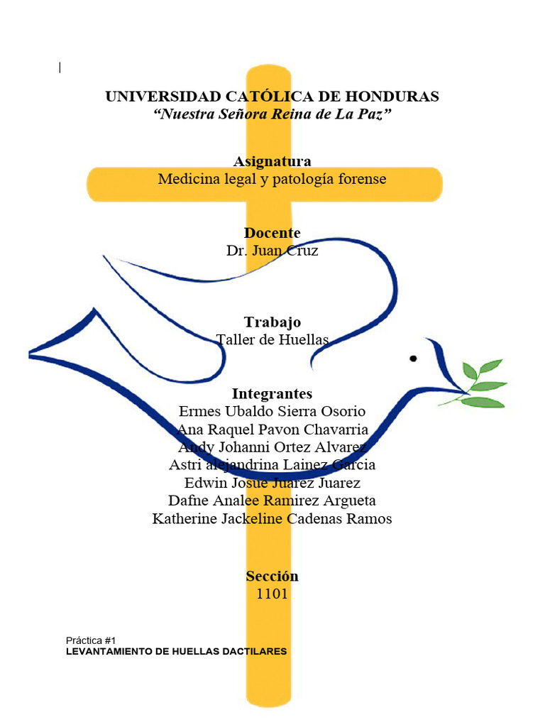 For Ense | PDF | Materiales | Ciencias fisicas