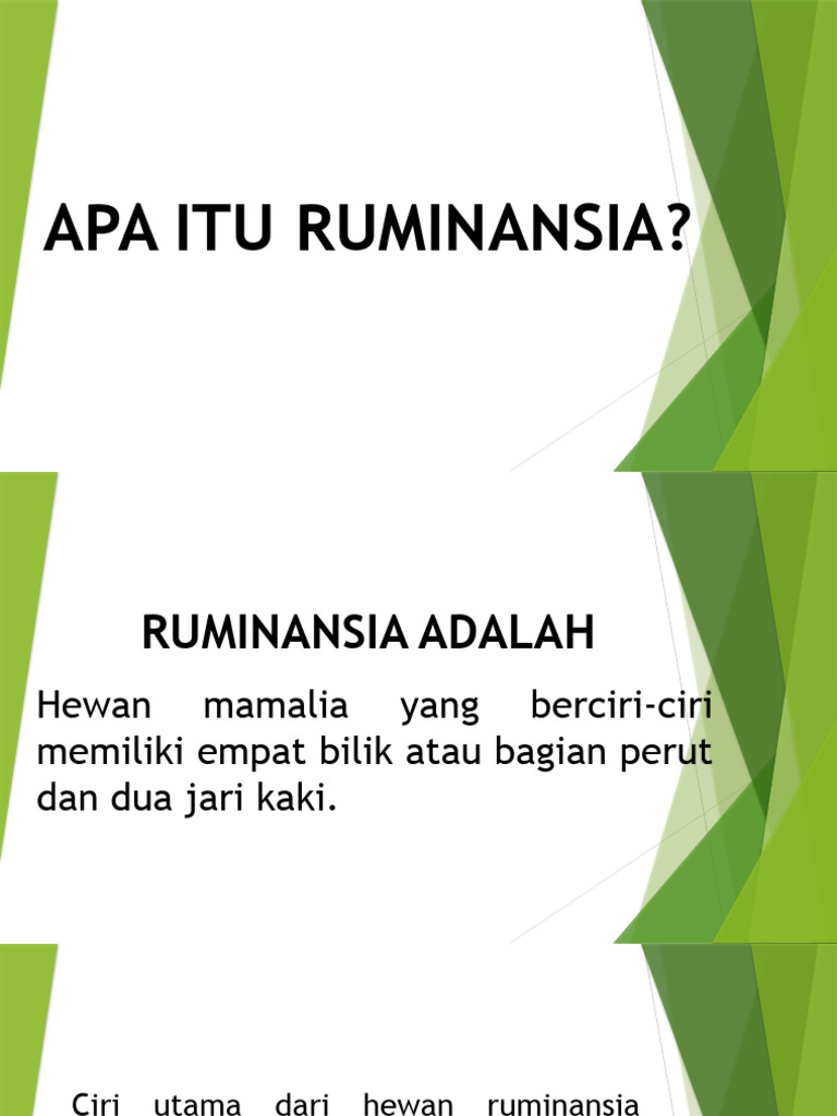 Apa Itu Ruminansia | PDF | Kesehatan Holistik