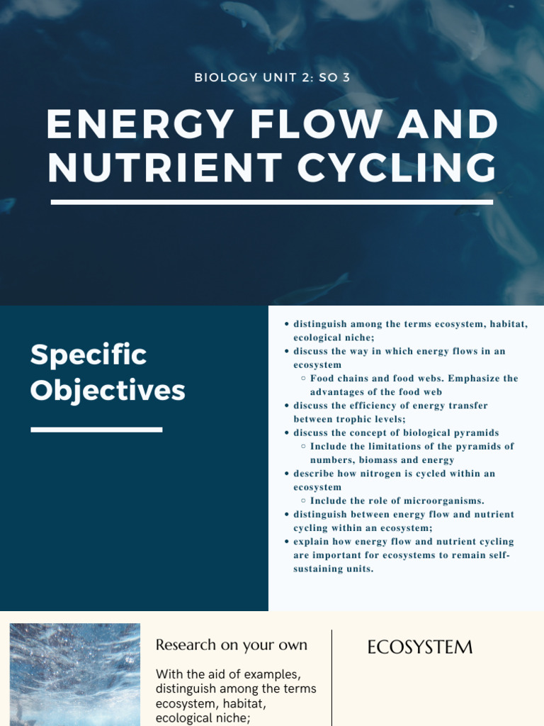 Energy Flow & Nutrient Cycling | PDF