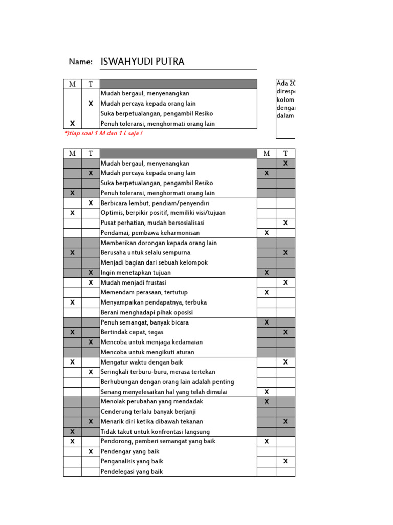 DISC Form Enlight | PDF
