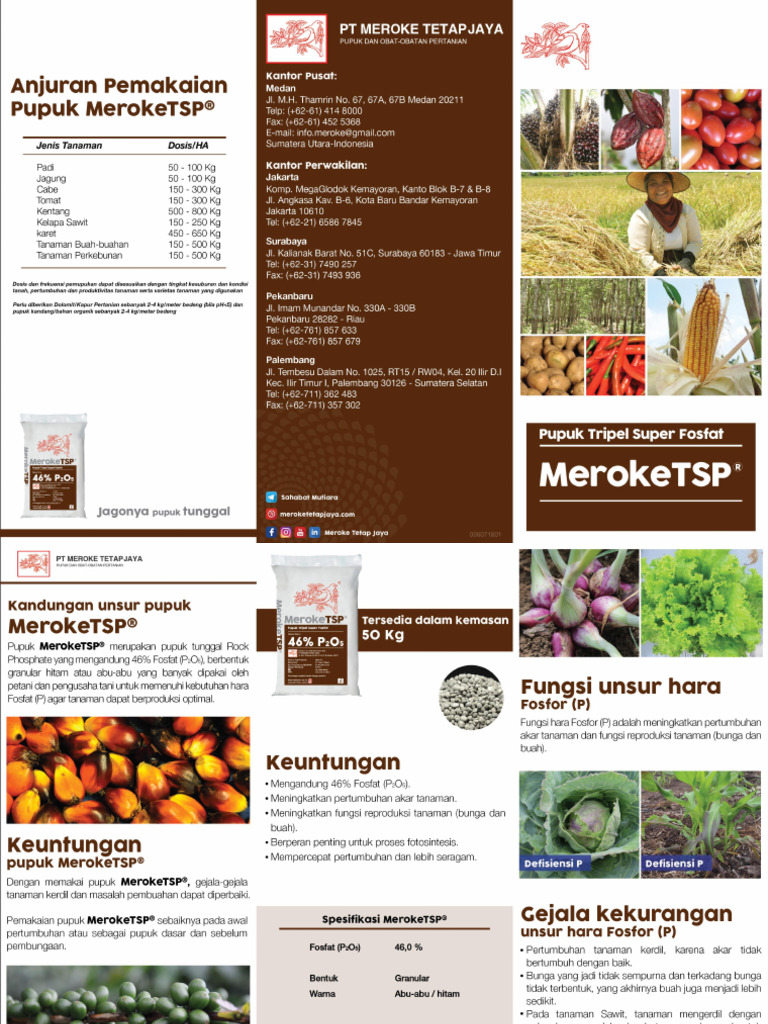 Meroke TSP | PDF