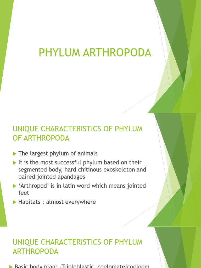 Key Traits of Phylum Arthropoda | PDF | Zoology | Animal Physiology