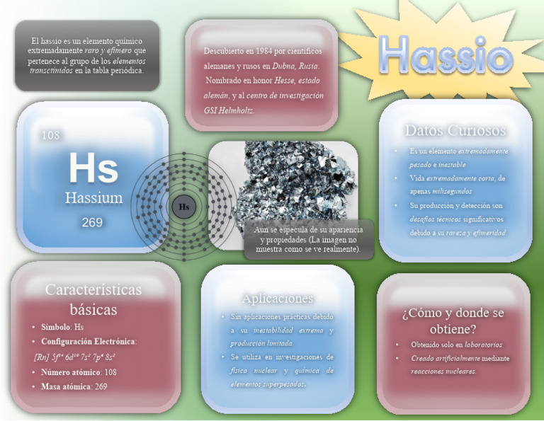 Infografia Del Hassio | PDF