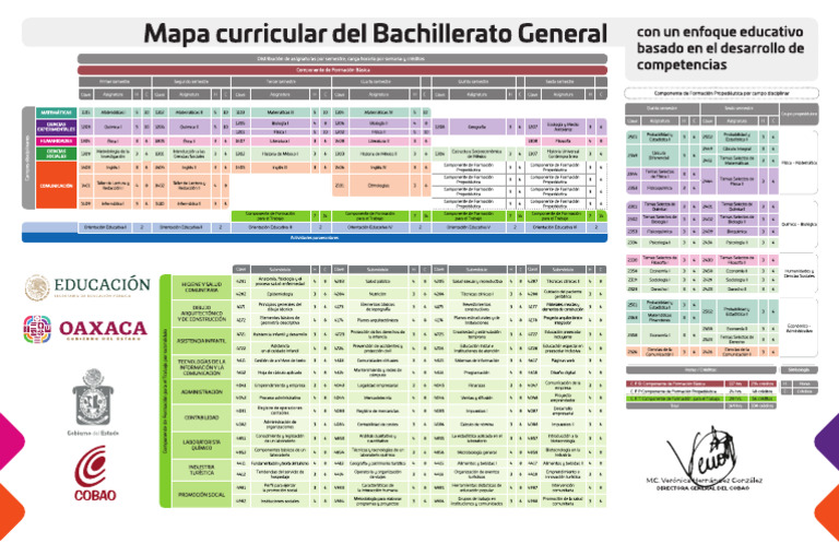 Mapa Curricular Escolarizado 2023 | PDF