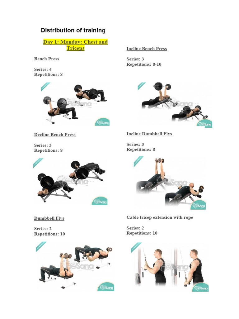 GYM Exercise Routine | PDF | Physical Fitness | Strength Training