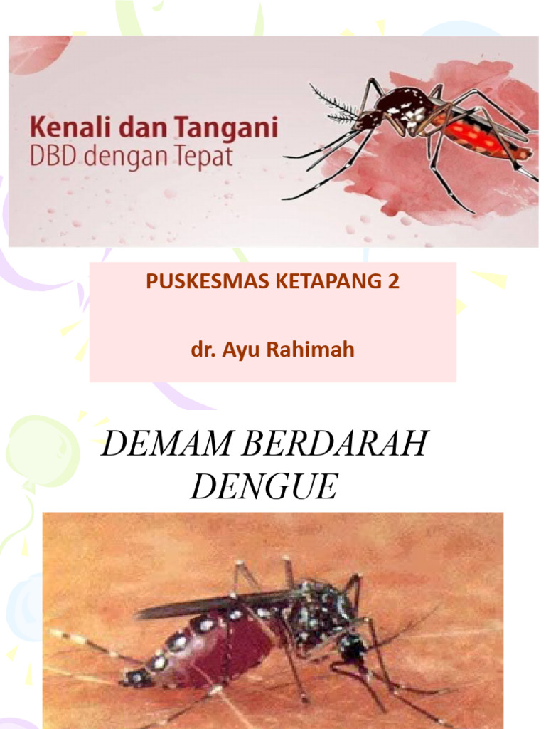 DBD DR Ayu | PDF