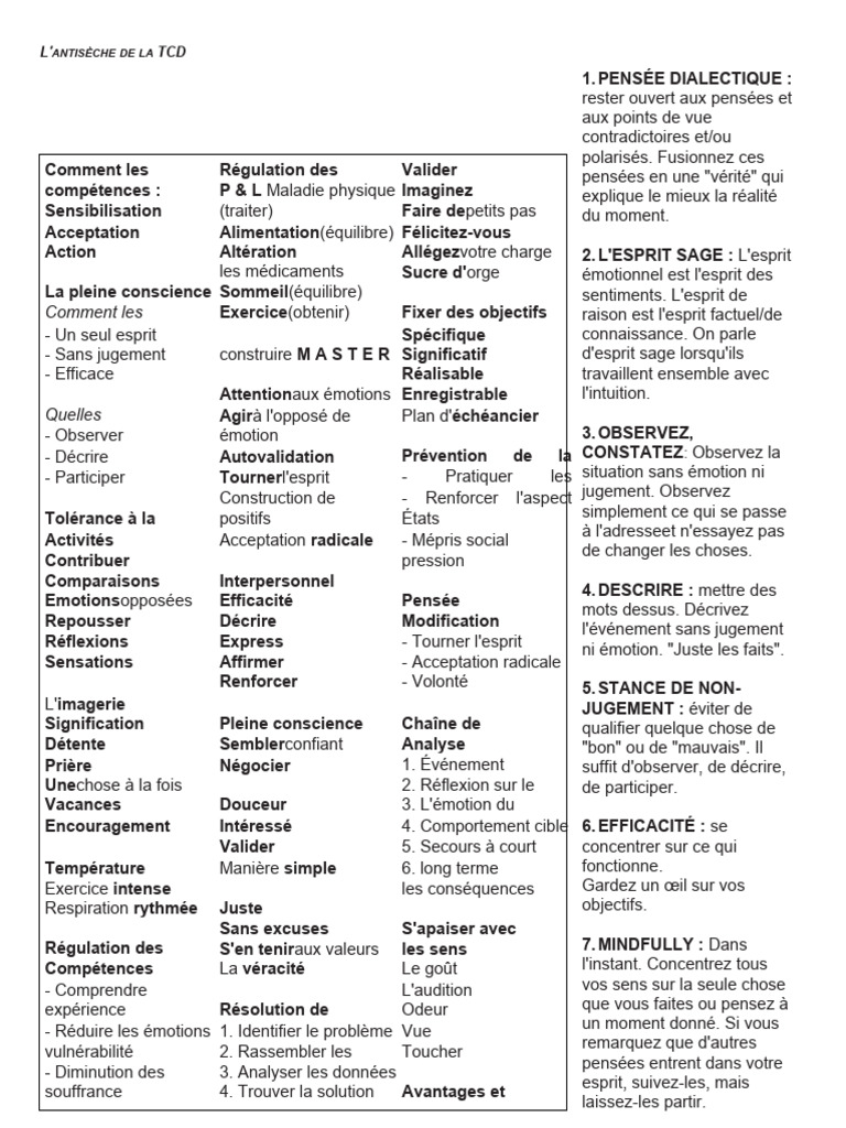 Guide TCD : Régulation Émotionnelle et Compétences Mindfulness | PDF ...