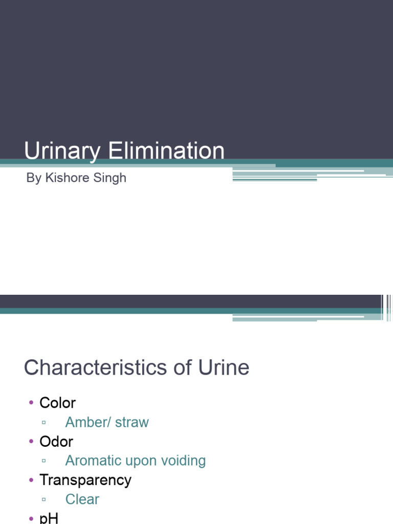 Urinary Elimination 01 | PDF