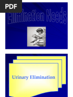 Impaired Urinary Elimination | PDF | Urine | Renal Function