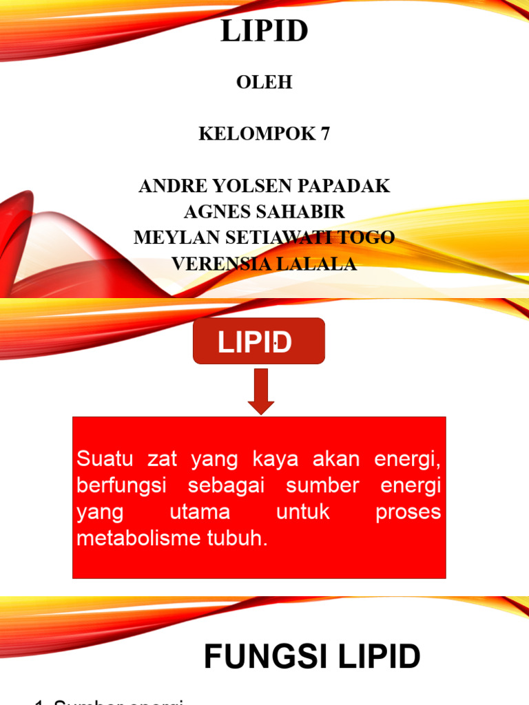 Fungsi dan Klasifikasi Lipid dalam Metabolisme | PDF