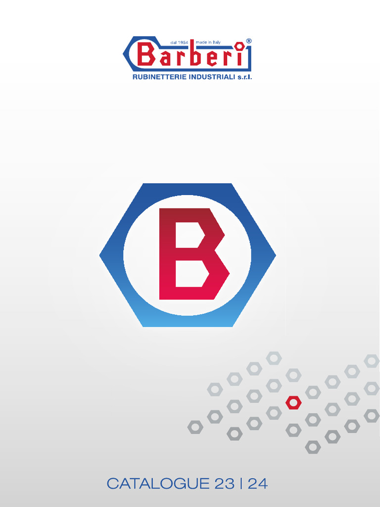 Barberi Catalogue 2024 | PDF | Valve | Pump