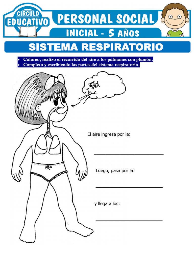El Sistema Respiratorio para Ninos de Cinco Anos | PDF | Salud y bienestar