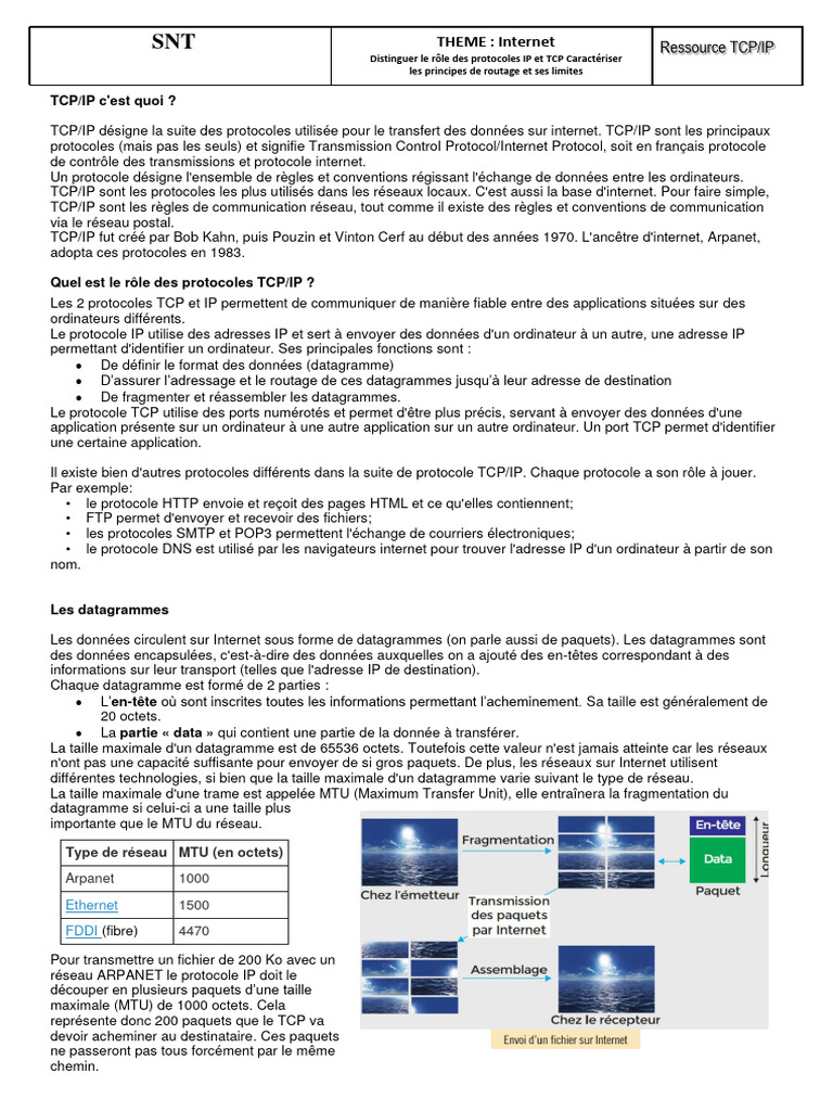 SNT Activite 2 TCP IP Ressource | PDF