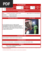 Formato FLASH Report | PDF