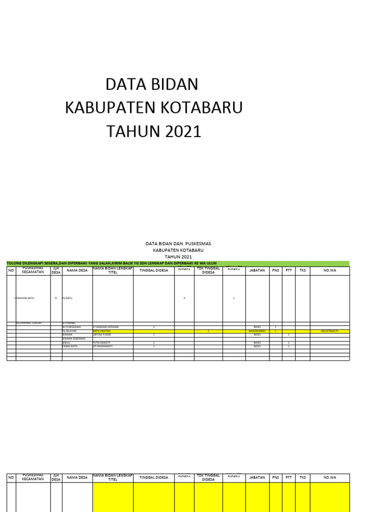 Data Bidan Puskesmas Kotabaru 2021 | PDF