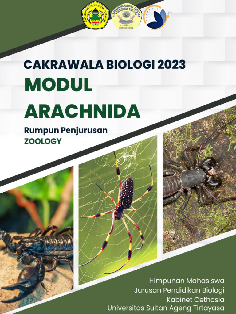 Modul Arachnida | PDF | Sains & Matematika