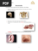 Upper Extremity PROM Exercises Guide | PDF | Anatomical Terms Of Motion ...