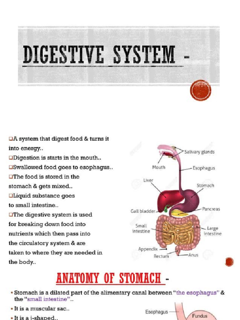 UNIT 2 HAP Part 1 | PDF