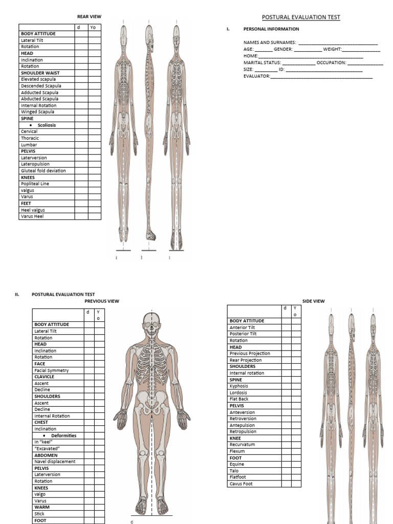 Posture Test | PDF | Anatomical Terms Of Motion | Pelvis
