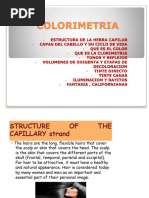 Colorimetric | PDF | Color | Hair