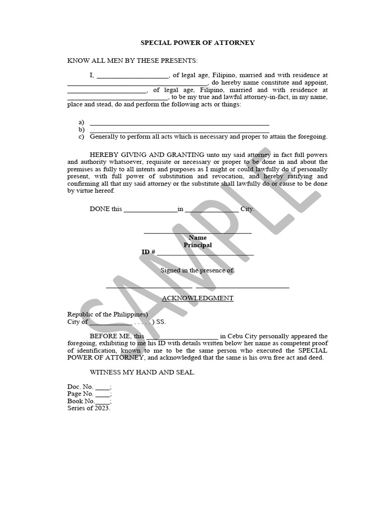 Special Power of Attorney Template | PDF