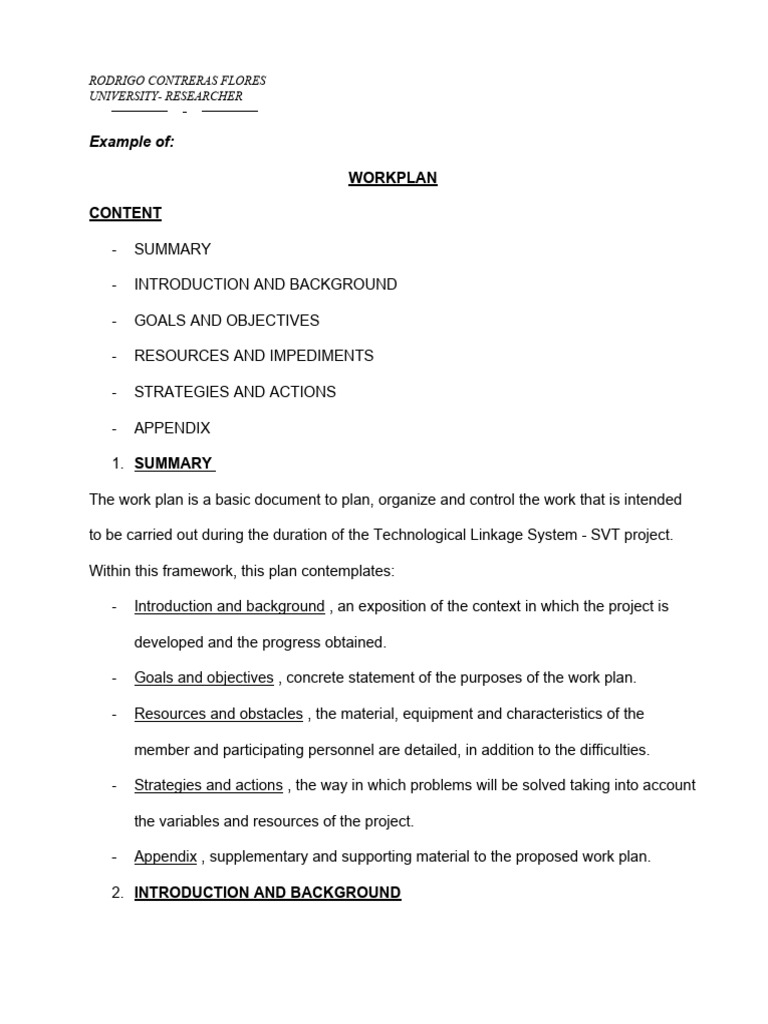 Example Work Plan | PDF | Entrepreneurship | Goal