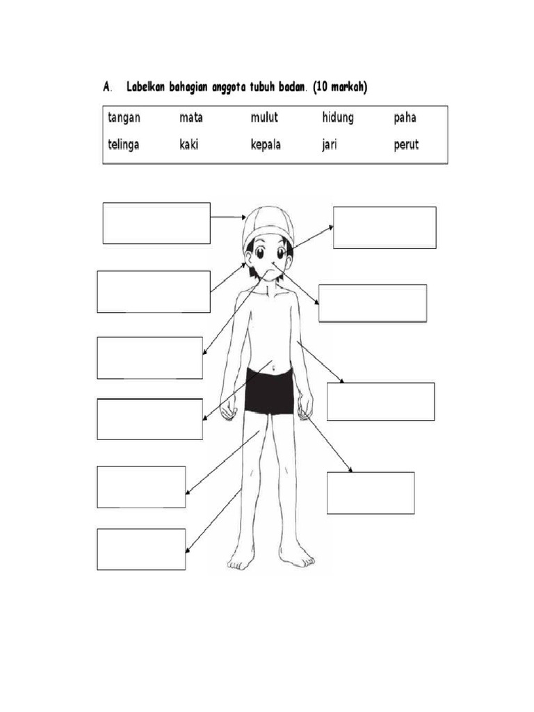 Label Anggota Badan | PDF