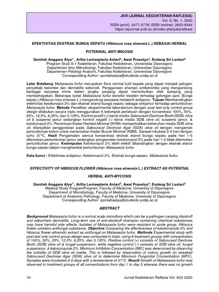 13829-Article Text-32707-37558-10-20210301 | PDF