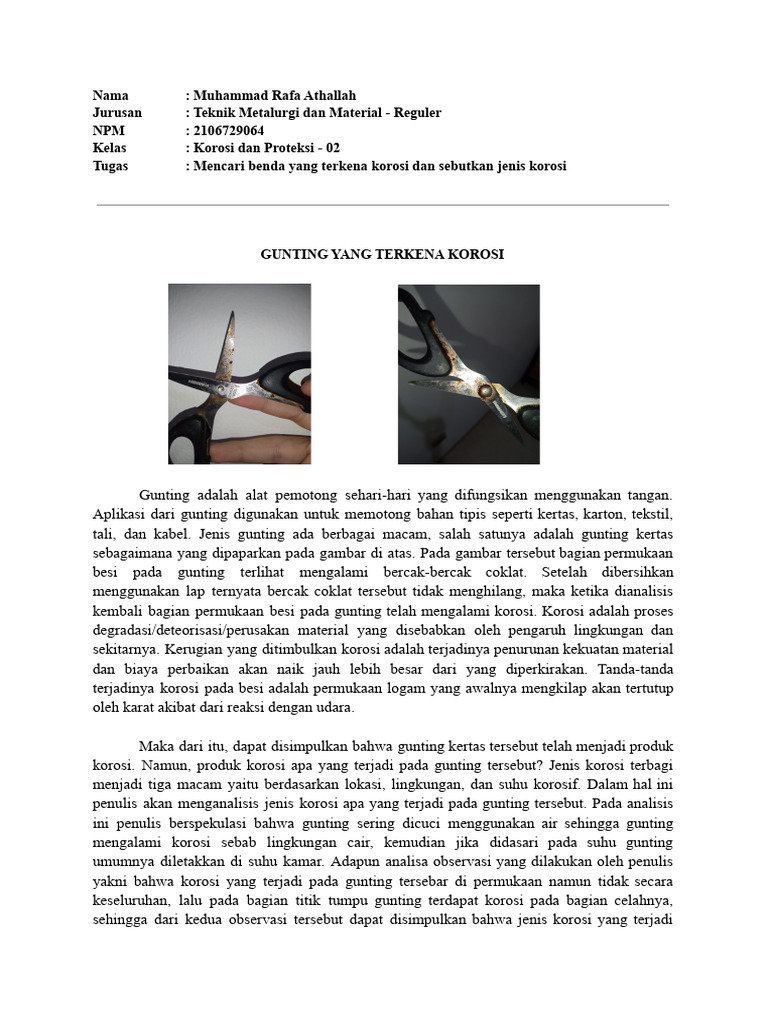 Tugas Individu 1 - Muhammad Rafa Athallah | PDF | Griya & Taman