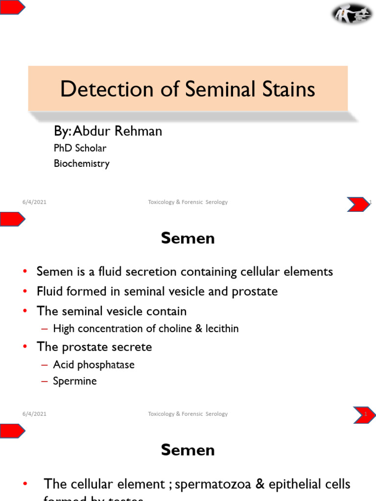 Forensic Detection of Seminal Stains | PDF | Semen | Staining