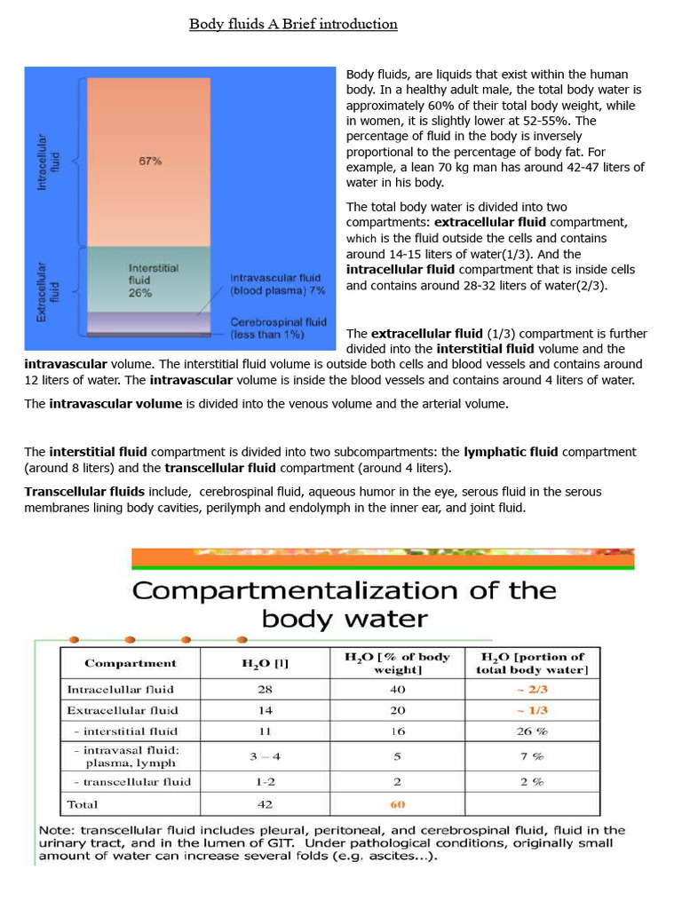 Overview of Human Body Fluids | PDF