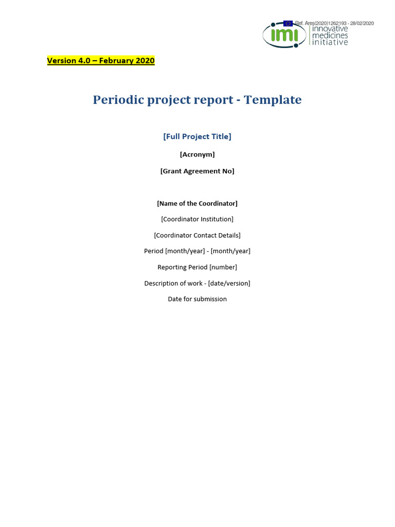 Periodic Project Report Template 2020 | PDF