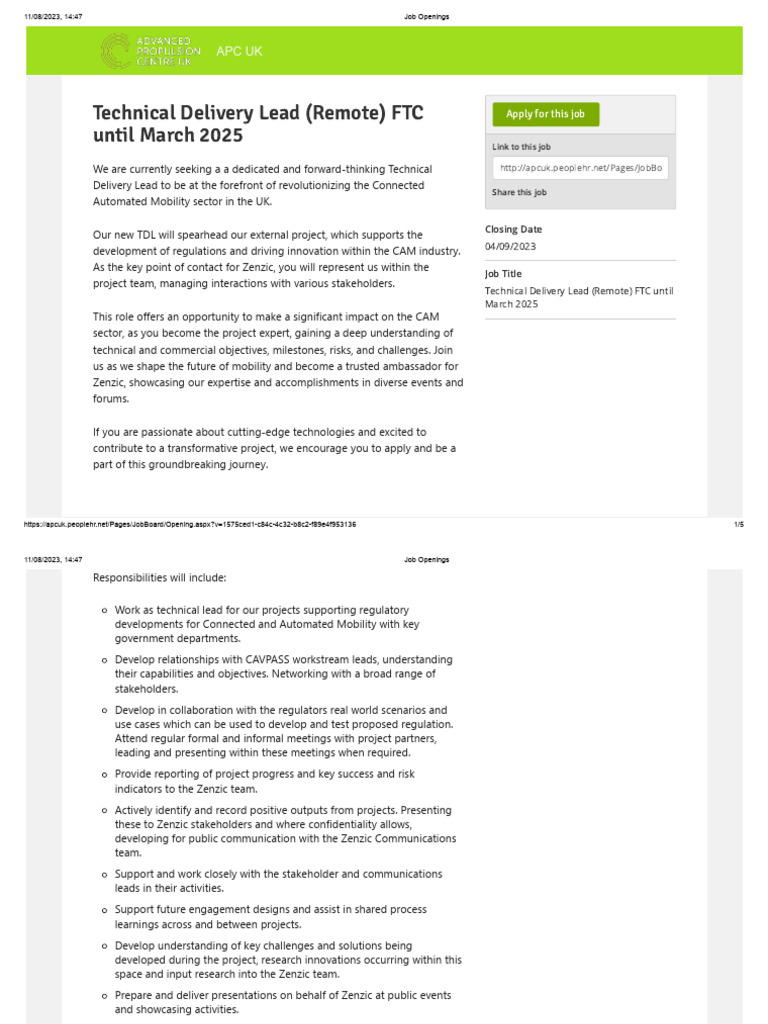 Technical Delivery Lead Role at Zenzic | PDF