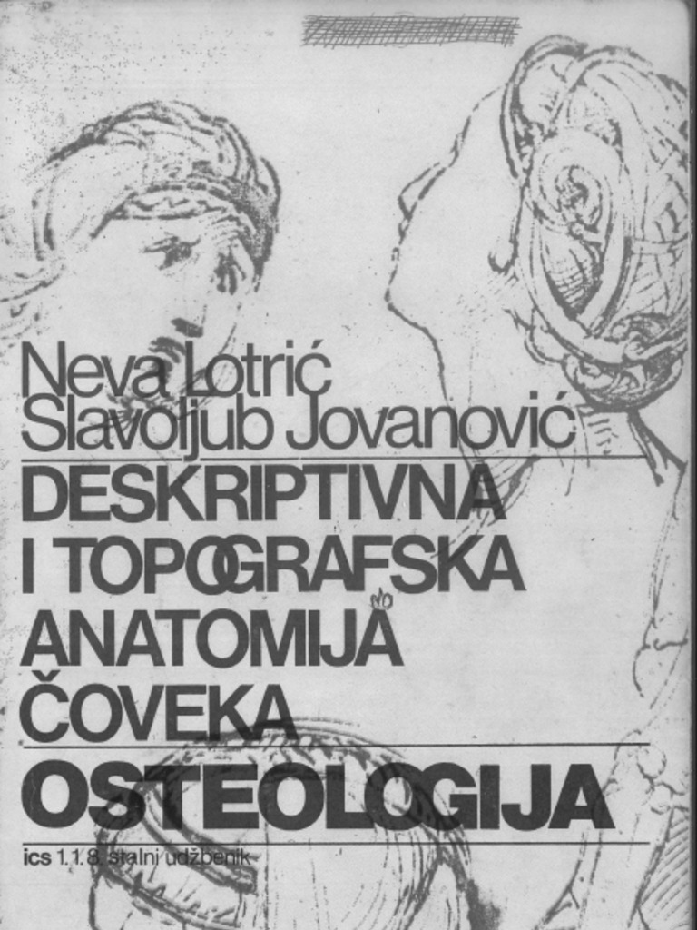 Deskriptivna I Topografska Anatomija Osteologija | PDF