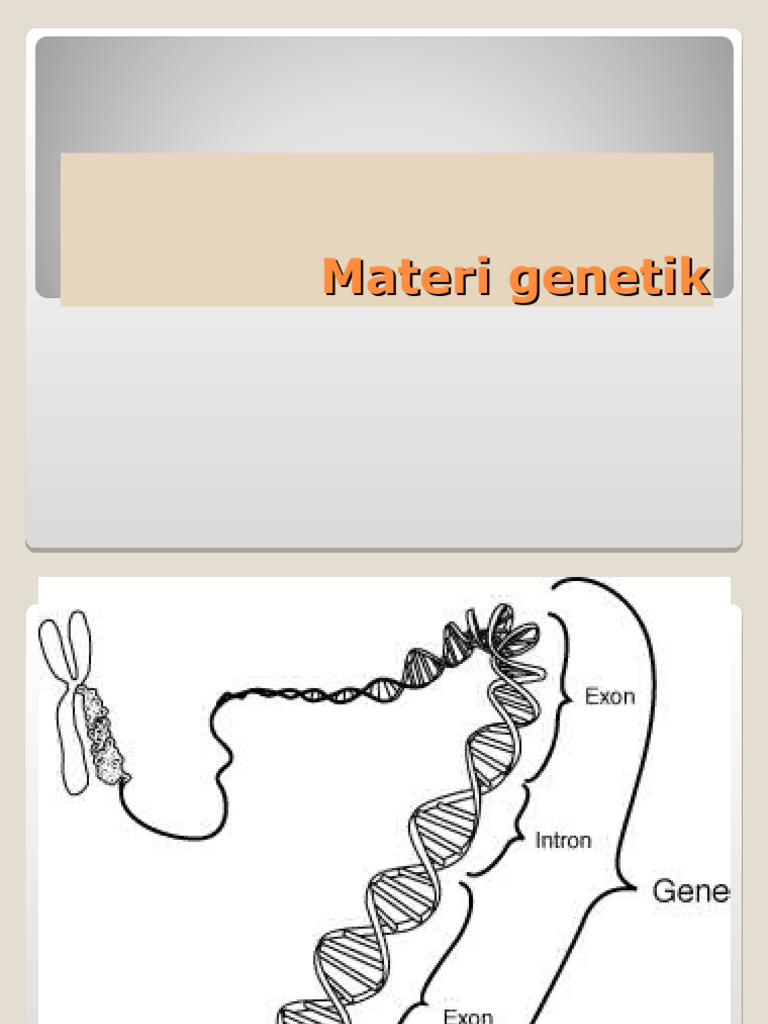 Materi Genetik | PDF