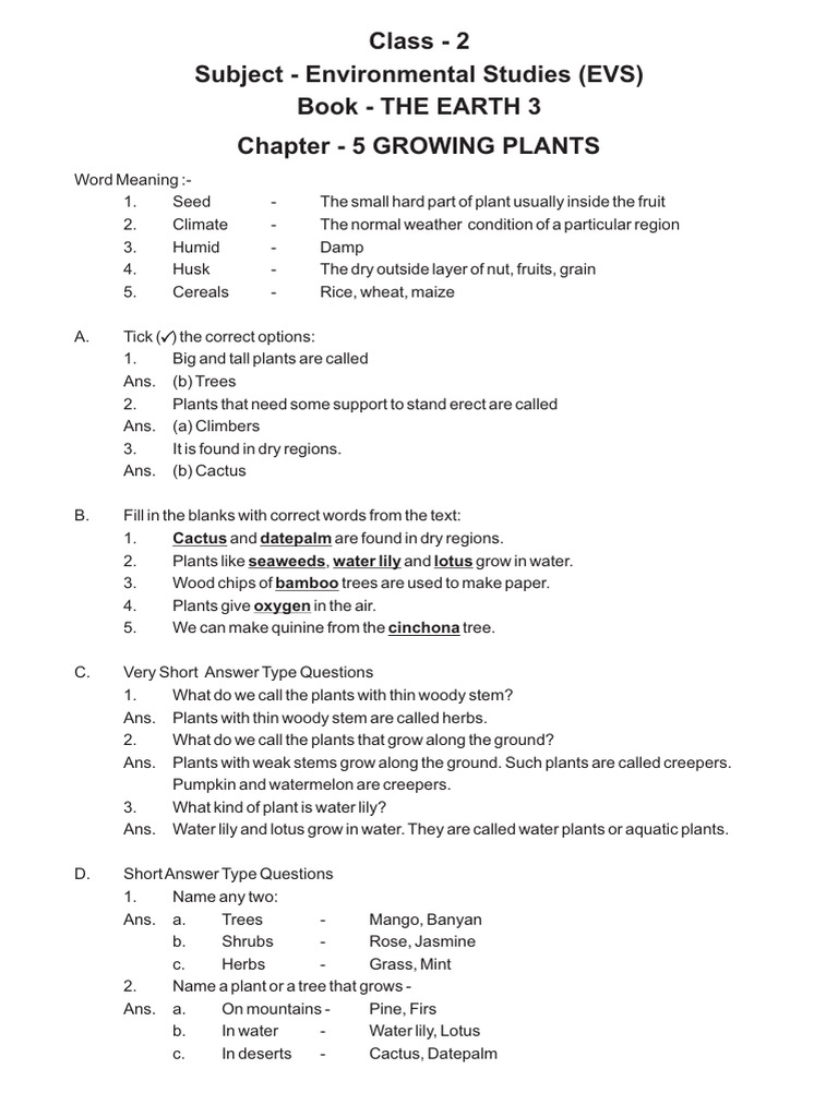 Class 2 Subject EVS Chapter 5 Growing Plants | PDF | Plants | Trees