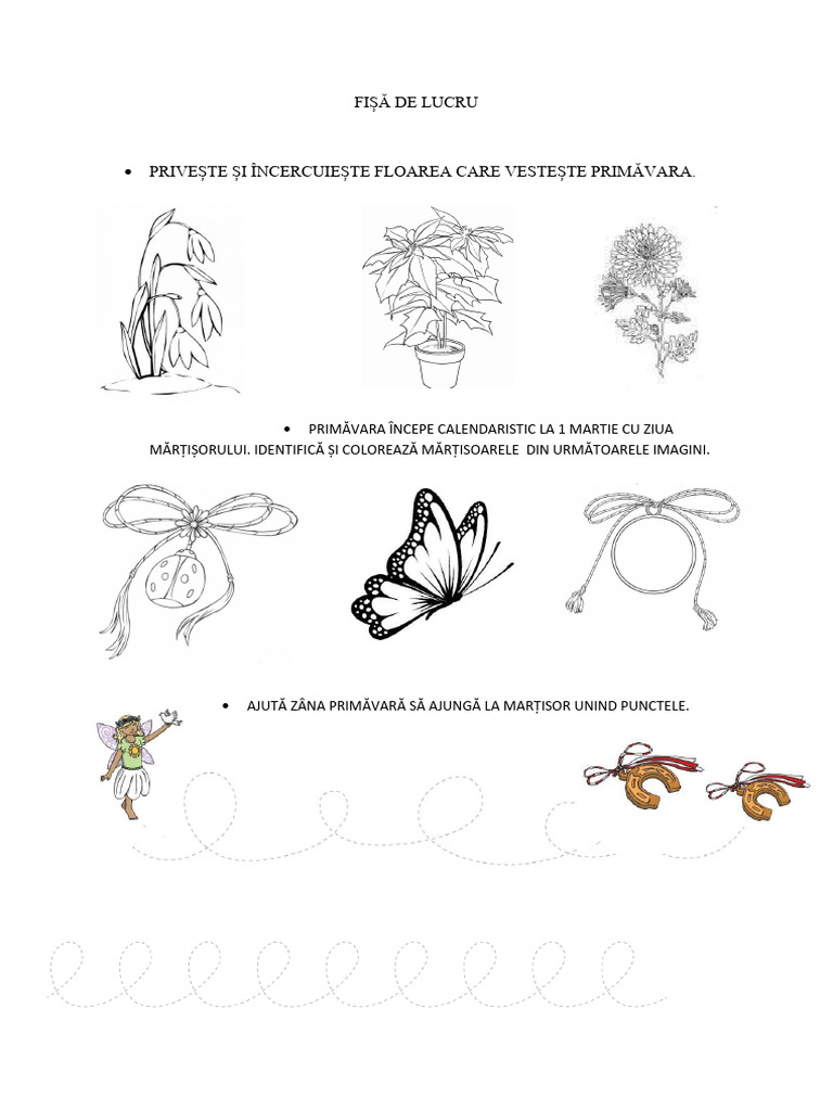 Fisa de Lucru Primavara | PDF