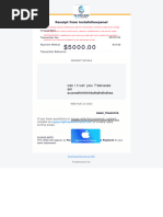 Fake BTC Funding | PDF