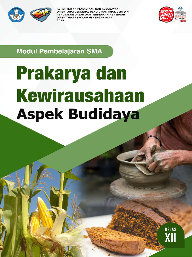 Kelas XII - PKWU (Budidaya) - KD 3.1 Perencanaan Budidaya Unggas Petelur | PDF