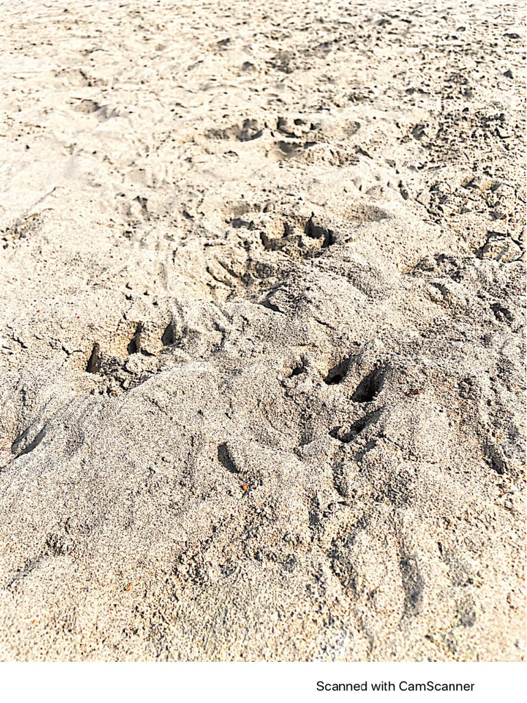 Sand Pattern | PDF
