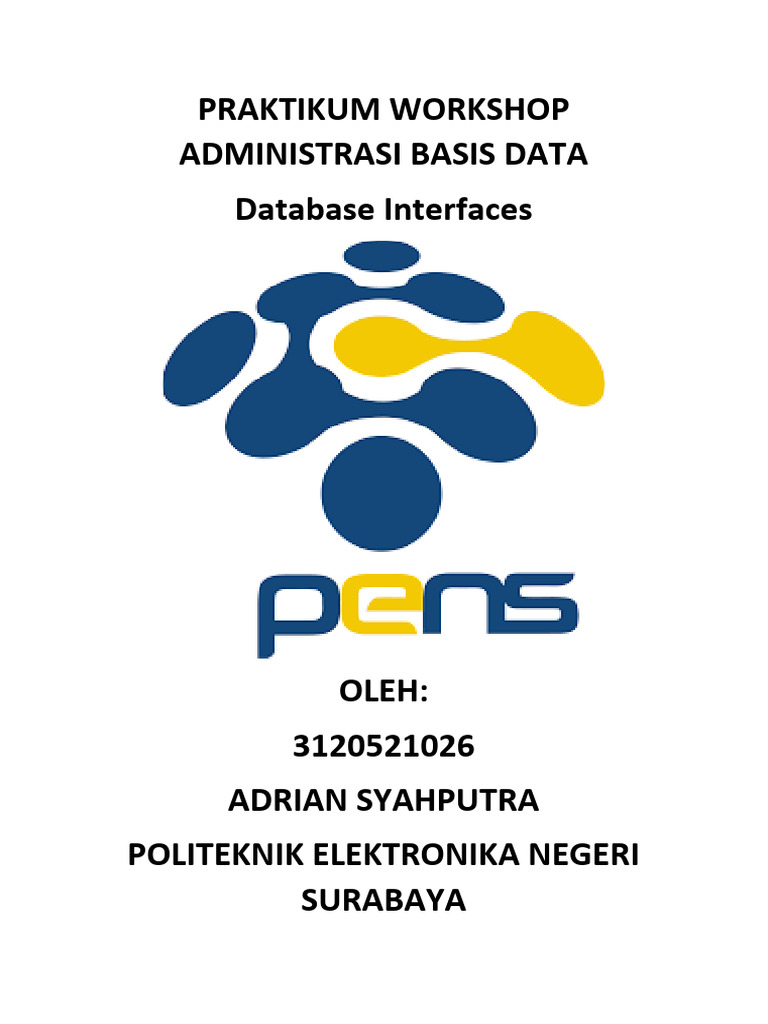 Database Interfaces | PDF